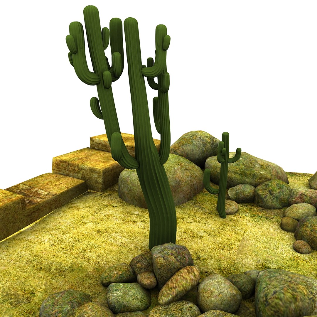 3d Obj Cactus Stones