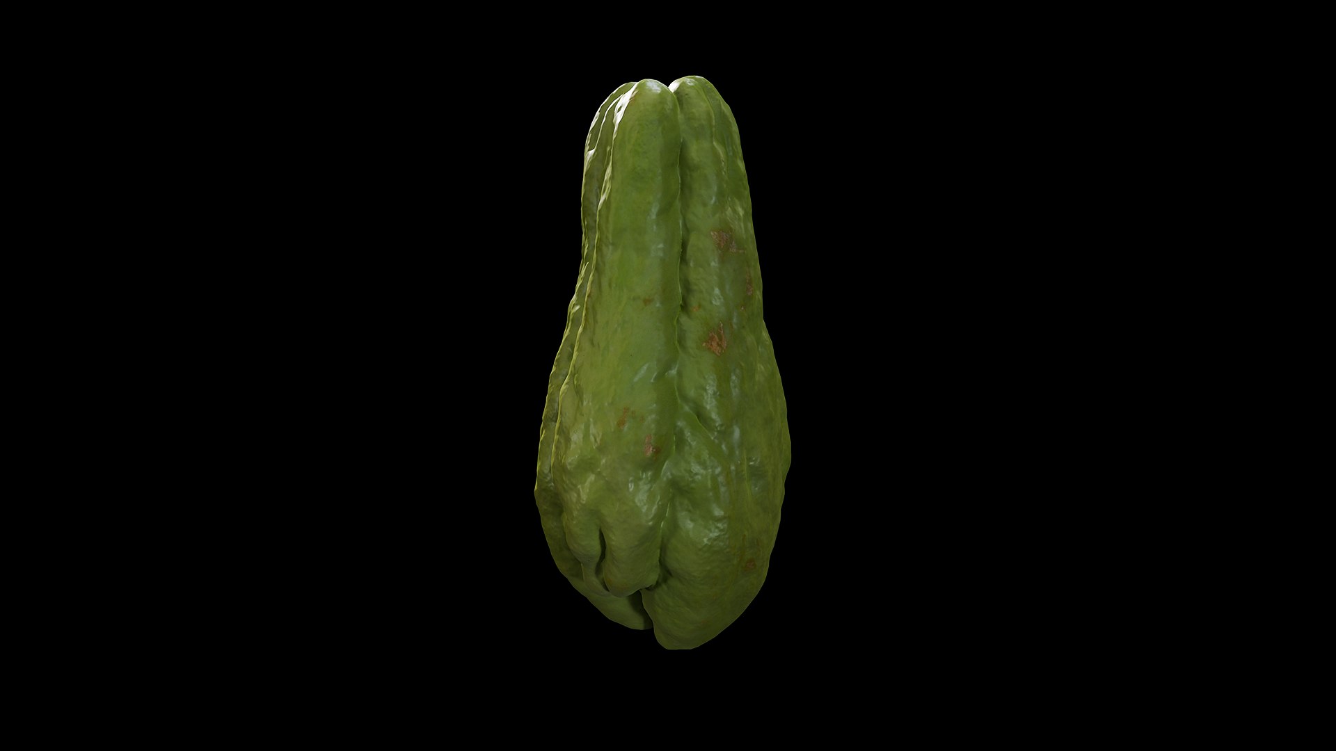 Anydrafts Sechium Edule 03 3D Model - TurboSquid 2322984