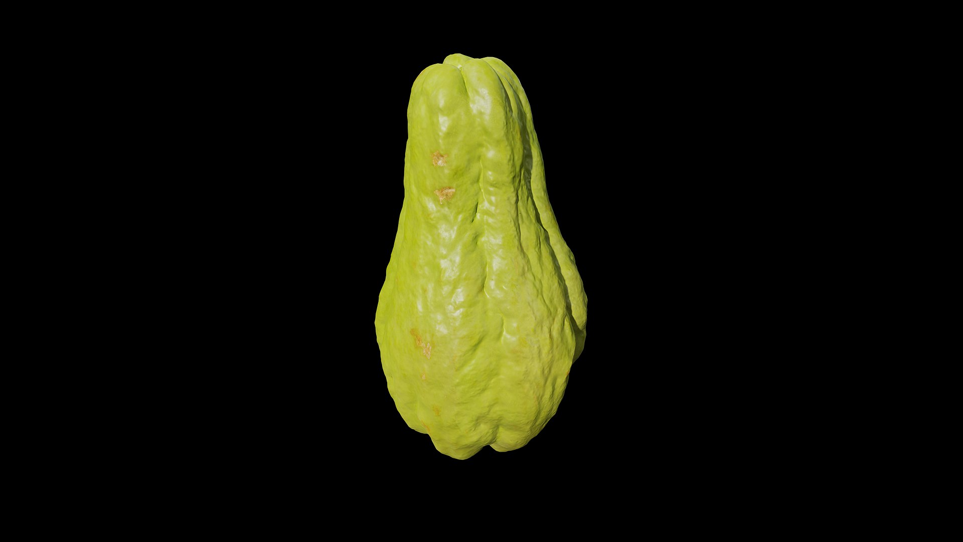 Anydrafts Sechium Edule 03 3D Model - TurboSquid 2322984