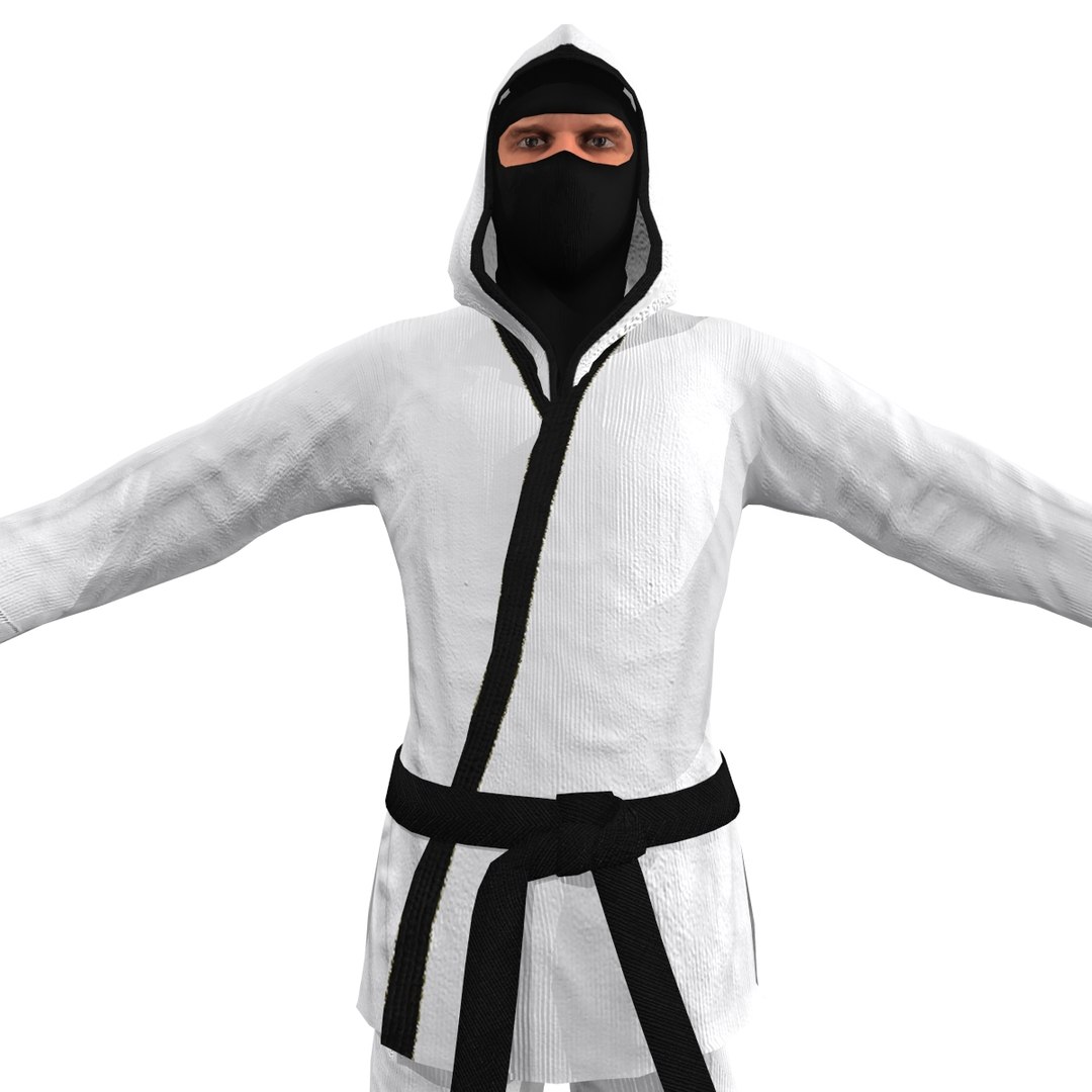 3d ninja 6