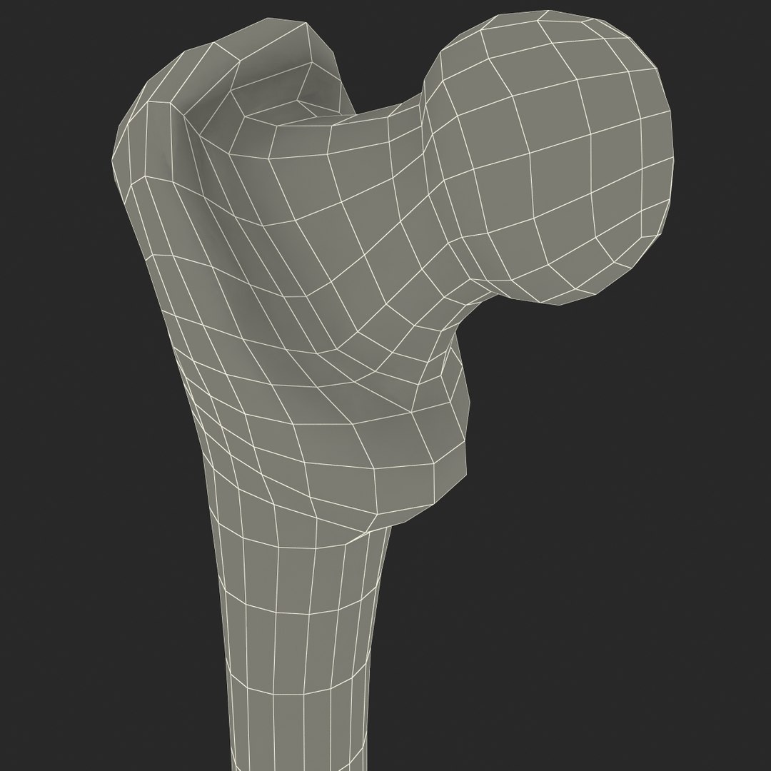 Femur Bone 3d 3ds