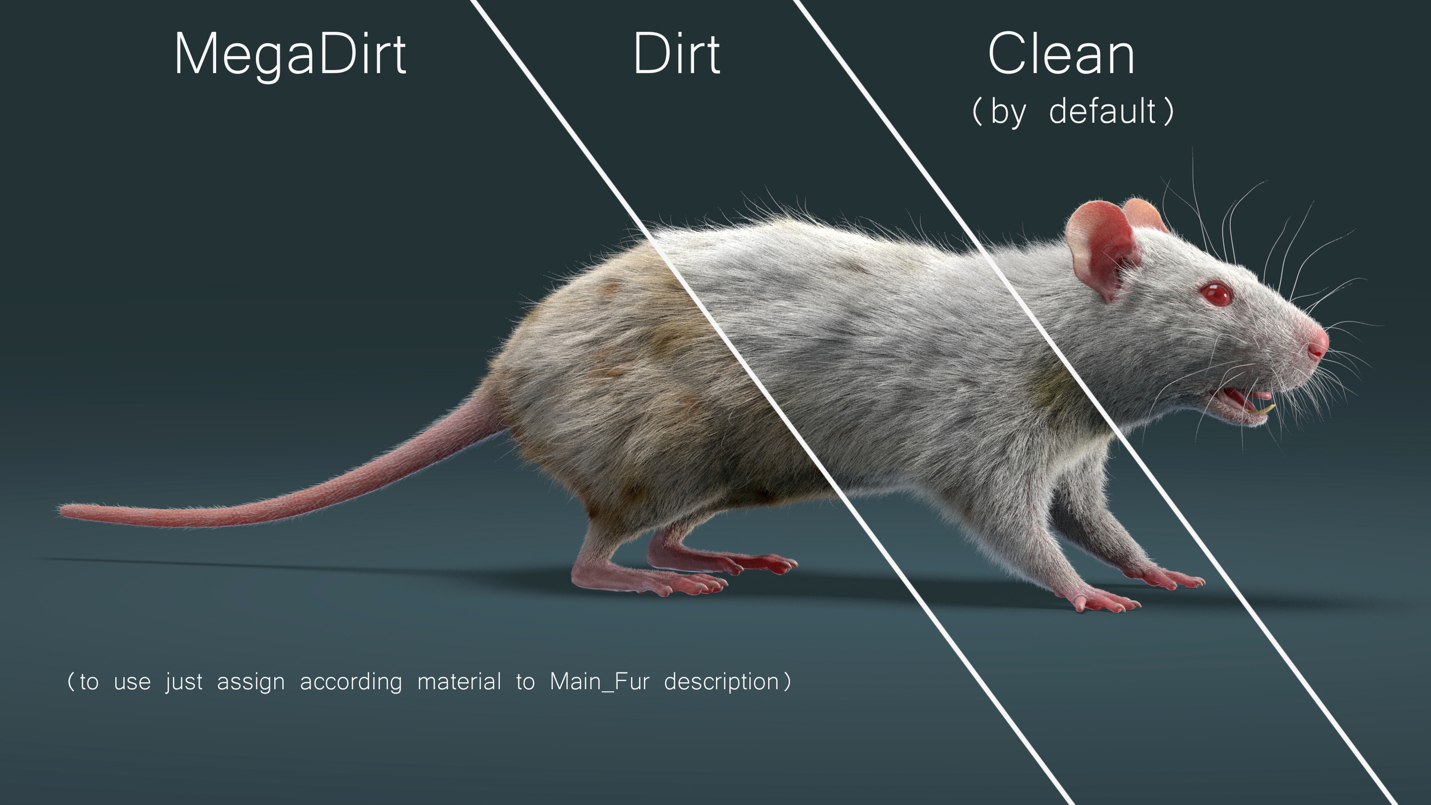 Rat fur 3D model - TurboSquid 1484489