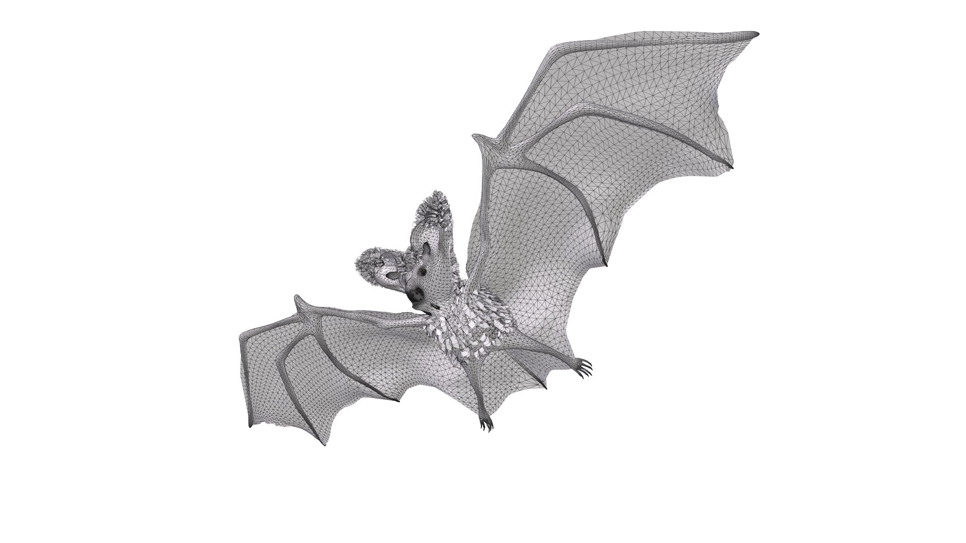 Bat Animated 3D Model - TurboSquid 2135558
