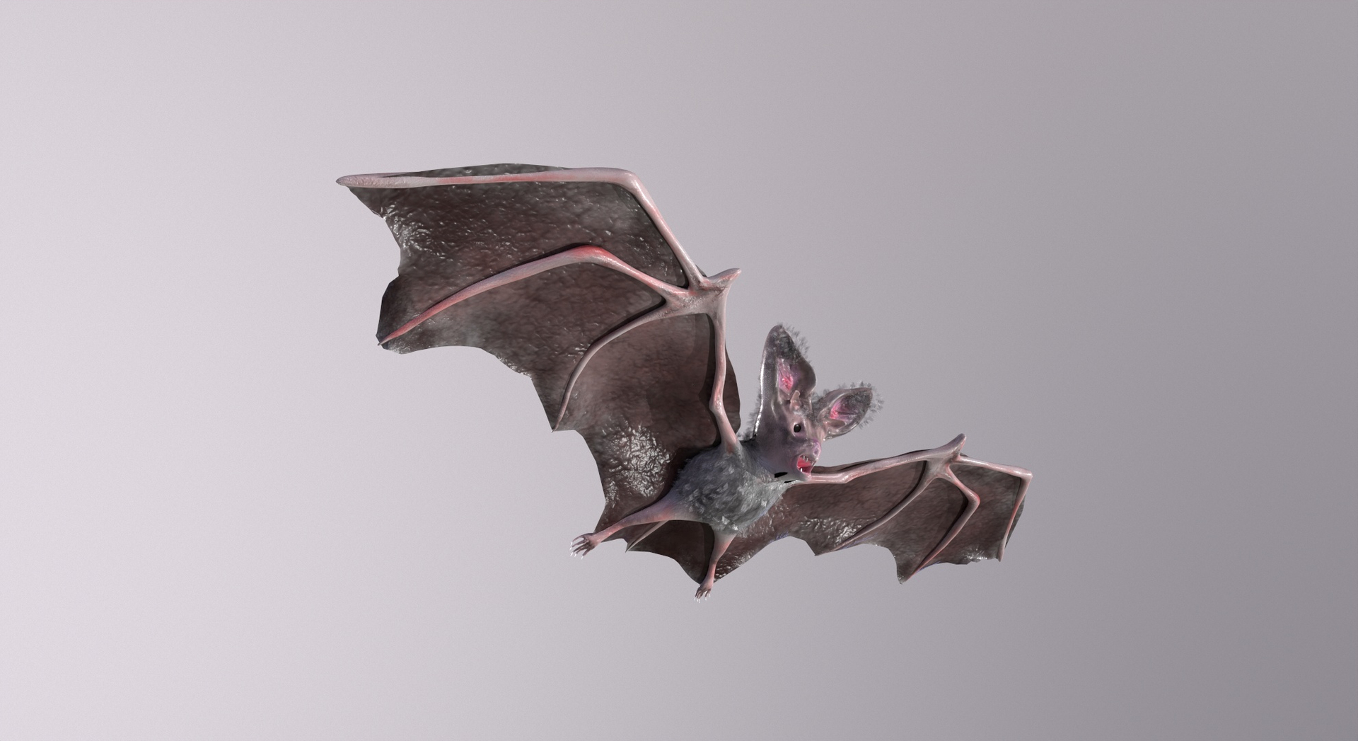 Bat Animated 3D Model - TurboSquid 2135558