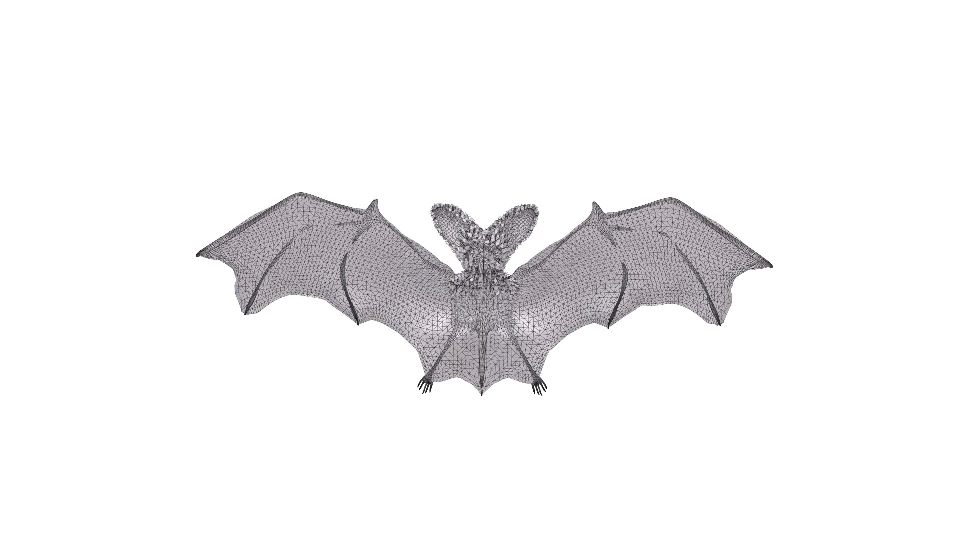 Bat Animated 3D Model - TurboSquid 2135558