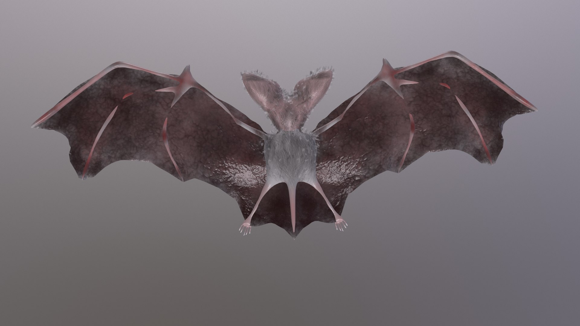 Bat Animated 3D Model - TurboSquid 2135558