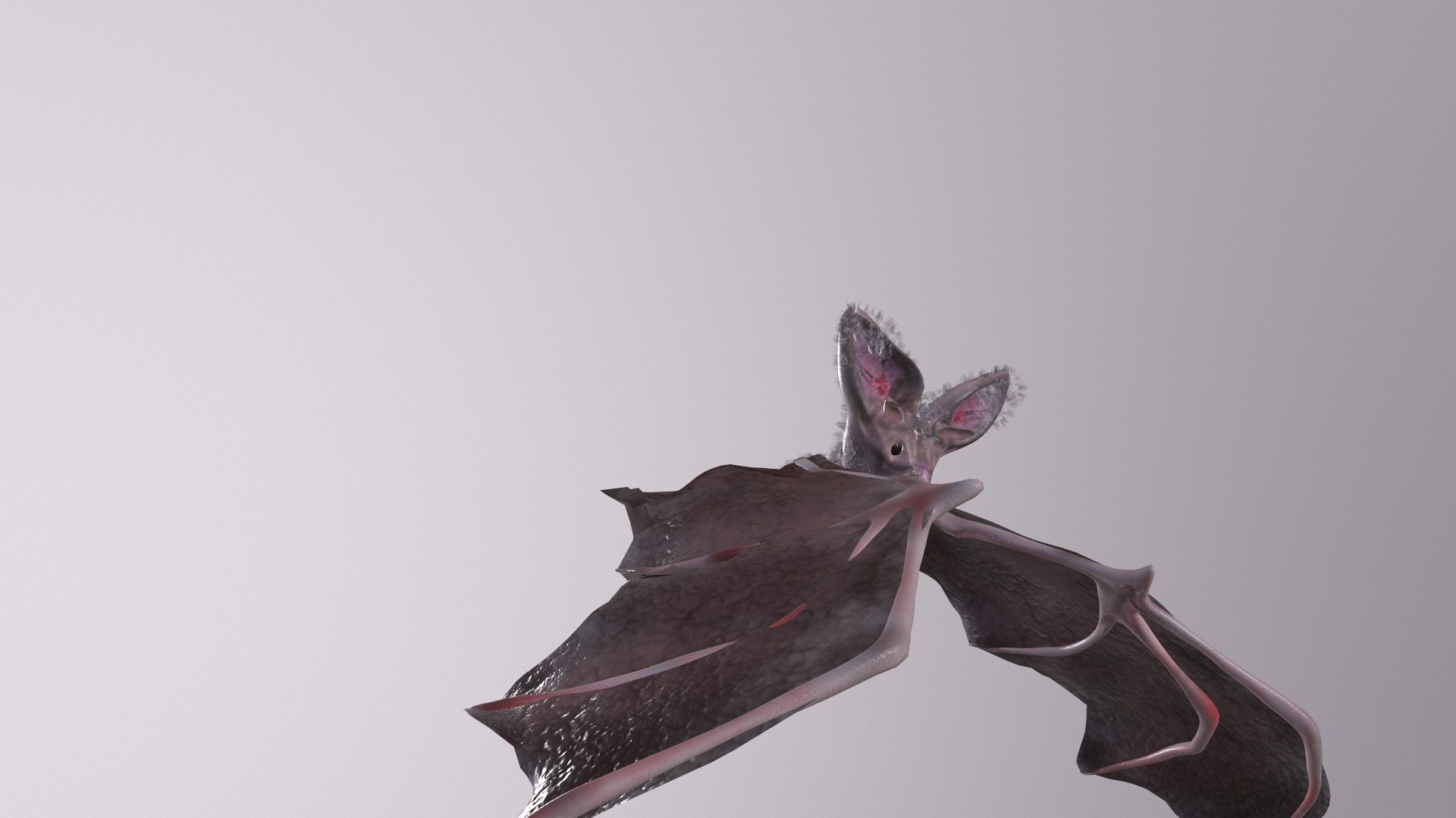 Bat Animated 3D Model - TurboSquid 2135558
