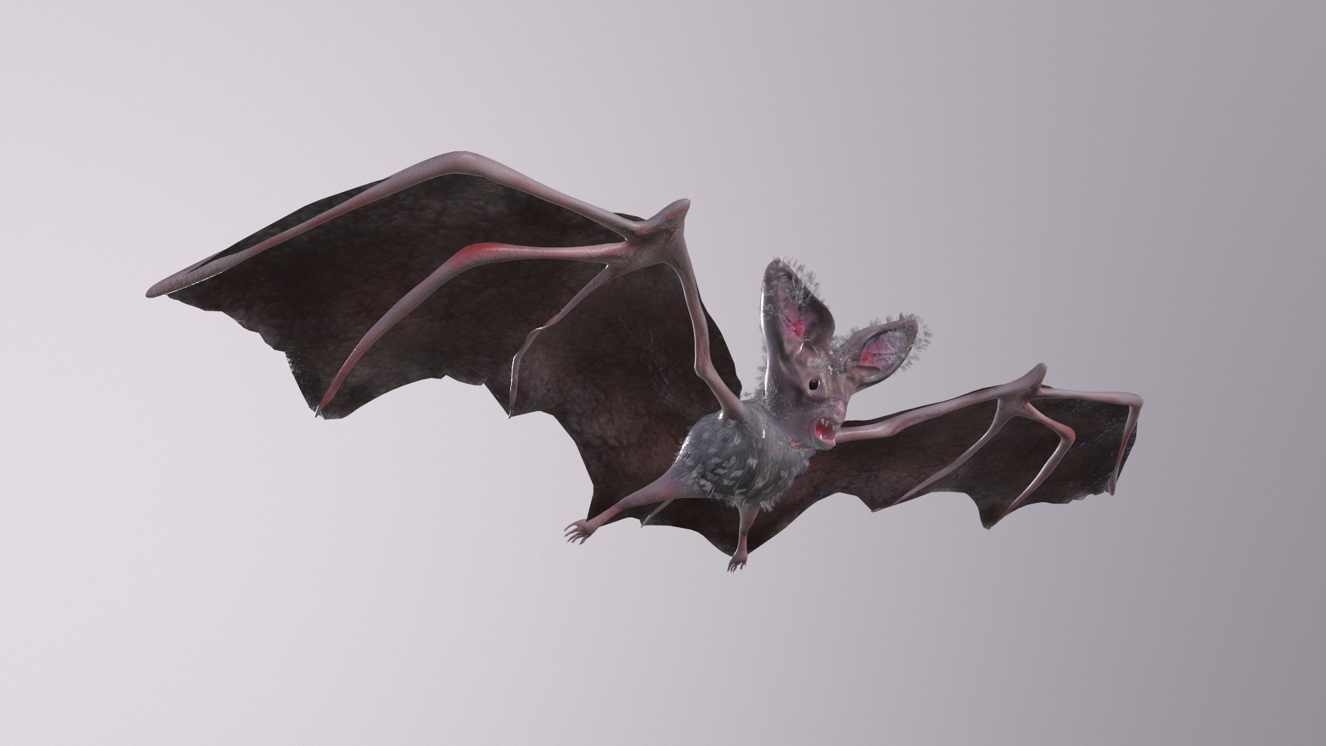 Bat Animated 3D Model - TurboSquid 2135558