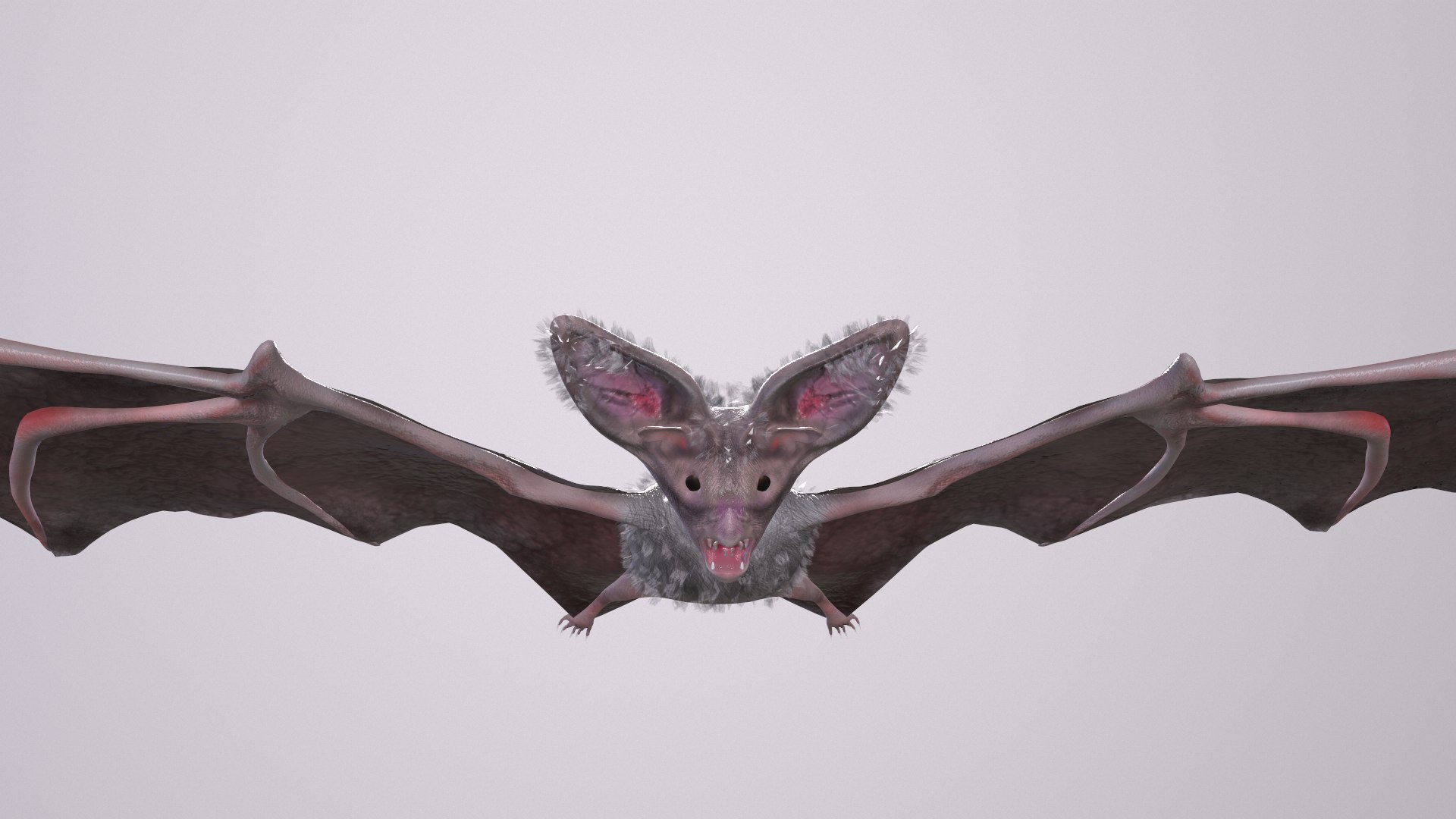 Bat Animated 3D Model - TurboSquid 2135558