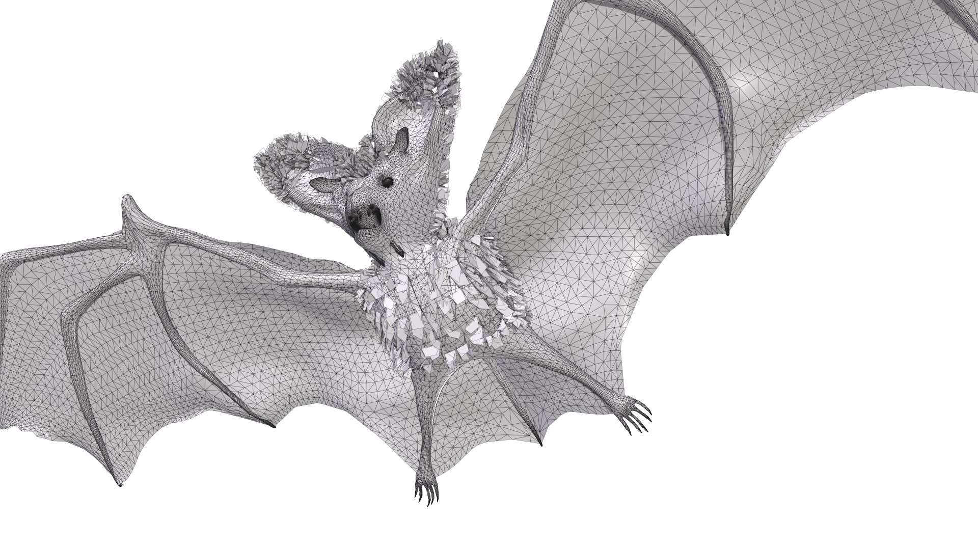 Bat Animated 3D Model - TurboSquid 2135558