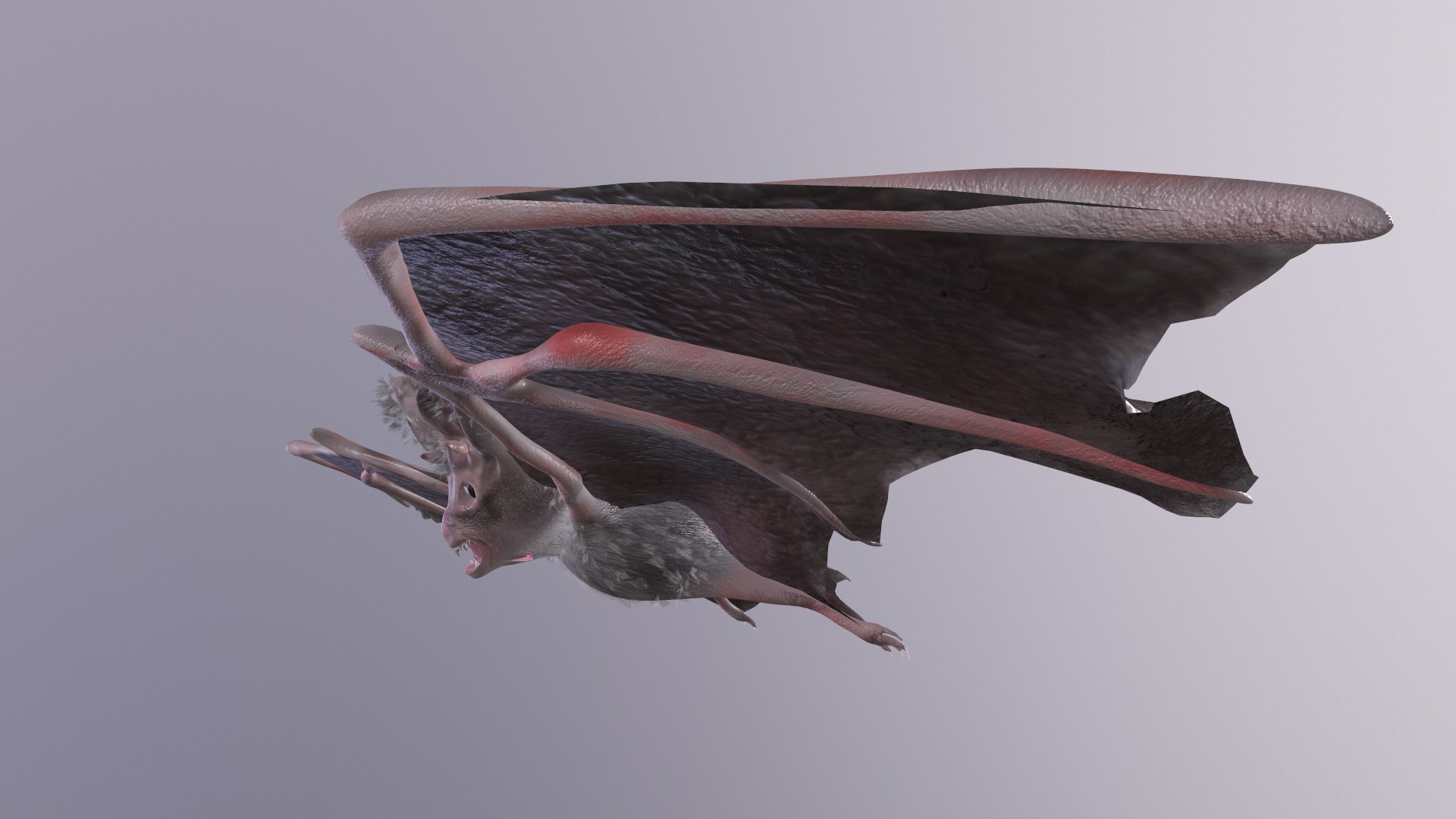 Bat Animated 3D Model - TurboSquid 2135558