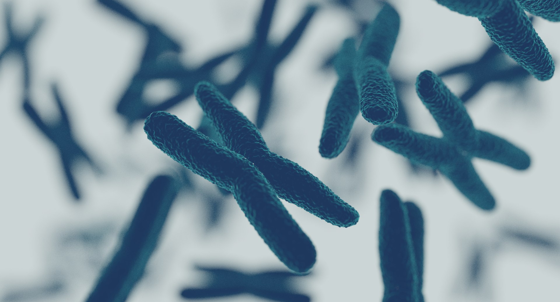 Chromosome Cell Dna 3D Model - TurboSquid 1158501