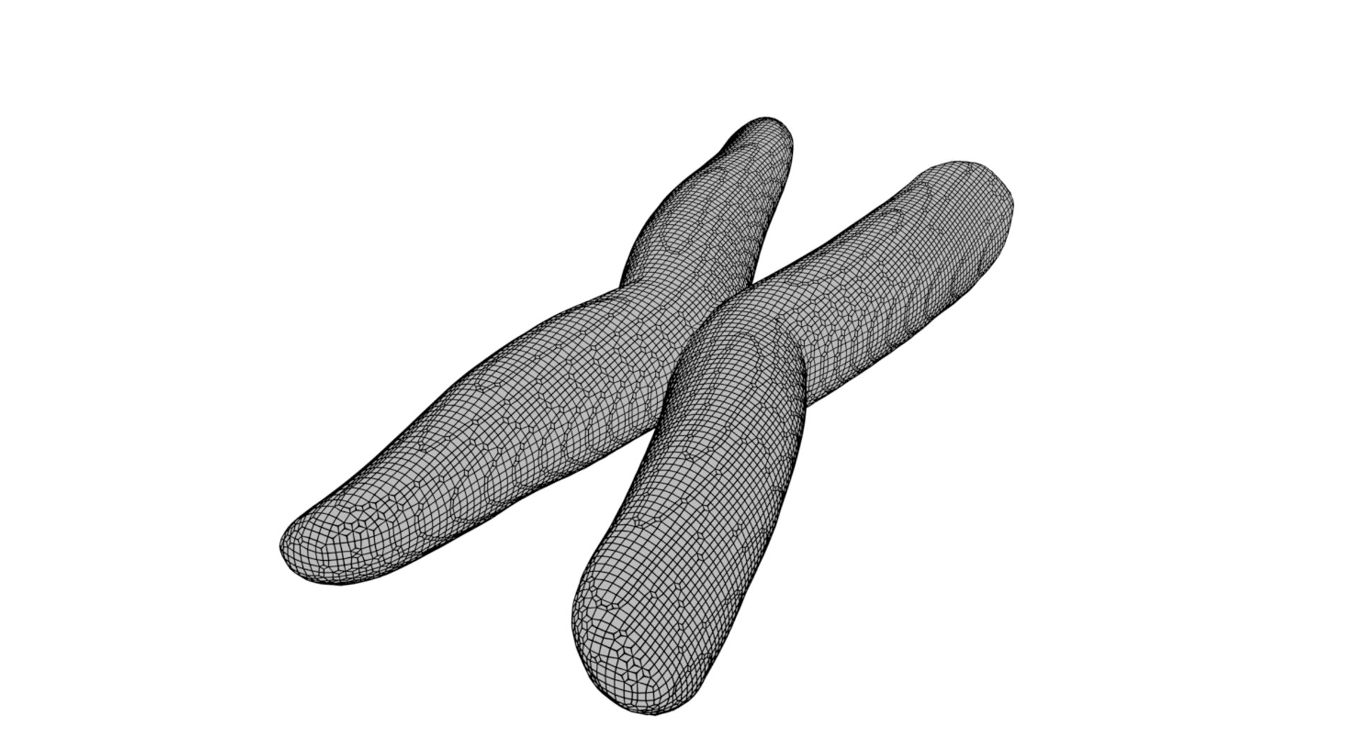 Chromosome Cell Dna 3D Model - TurboSquid 1158501