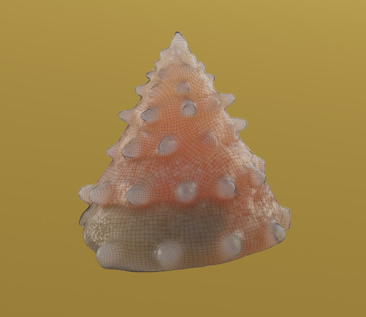 Seashell 3D Model - TurboSquid 2063505