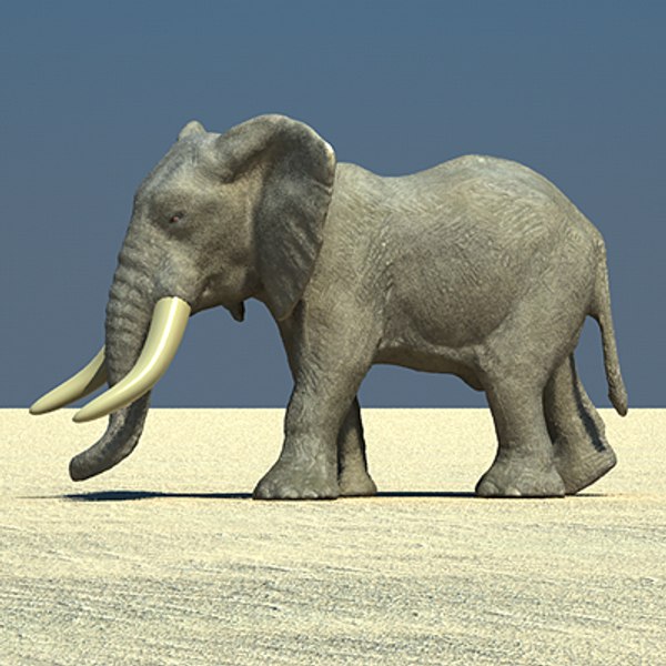 Elephant 3D Models for Download | TurboSquid