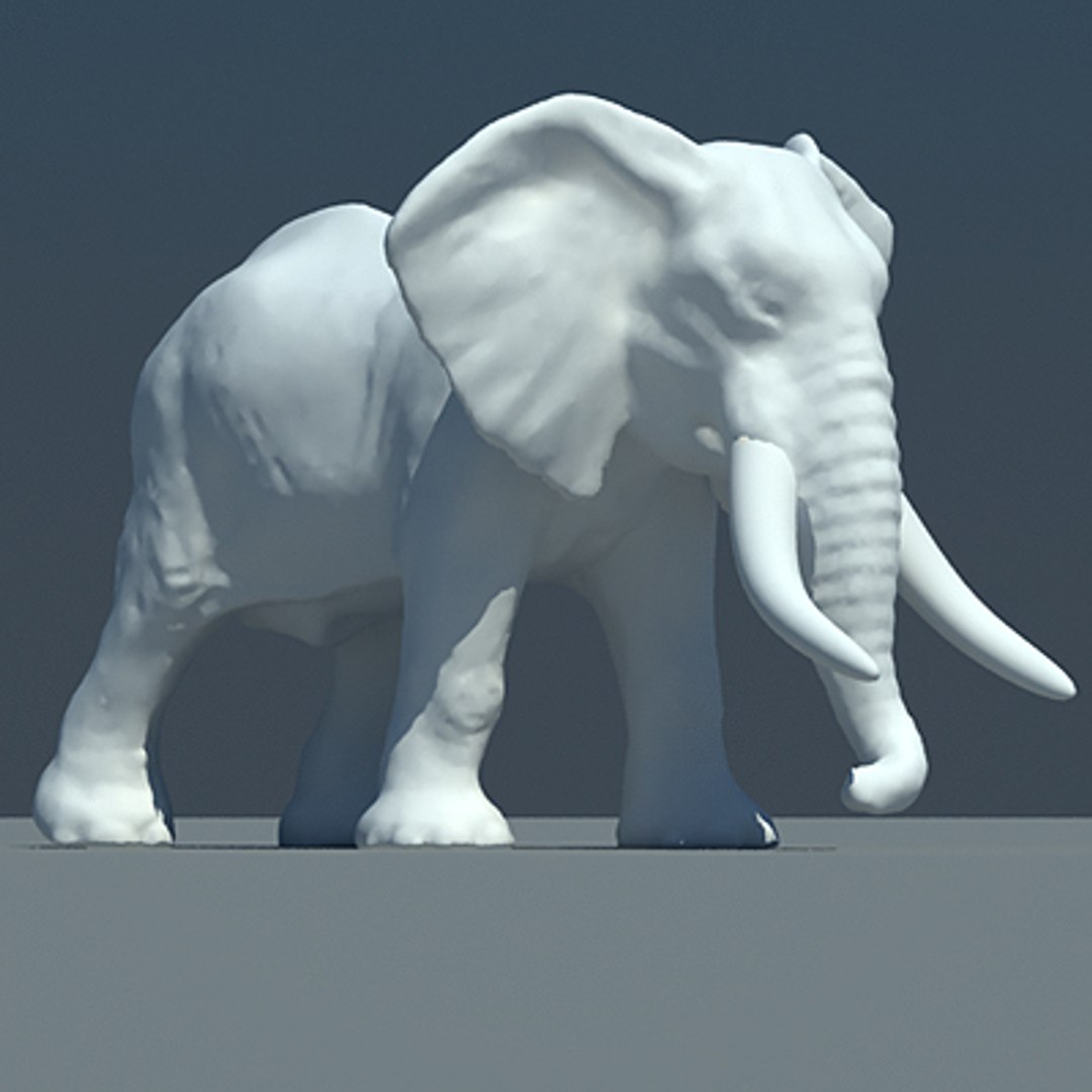 Elephant 3d Model