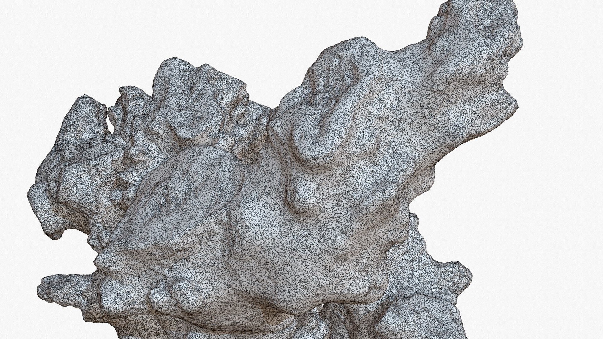 3D Coral 14 Raw Scan Model - TurboSquid 1196404