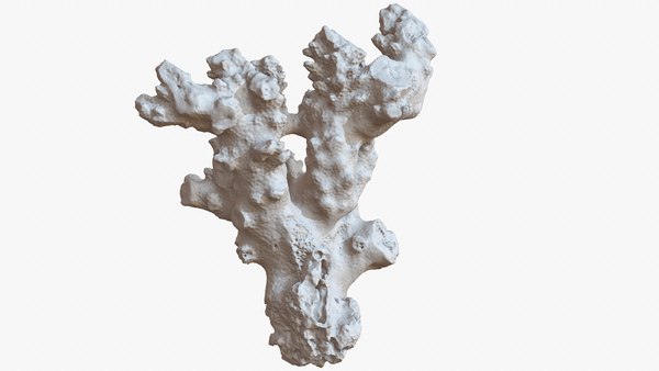 3D coral 14 raw scan model - TurboSquid 1196404