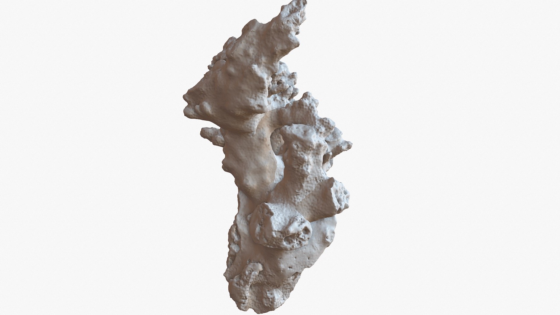3D Coral 14 Raw Scan Model - TurboSquid 1196404