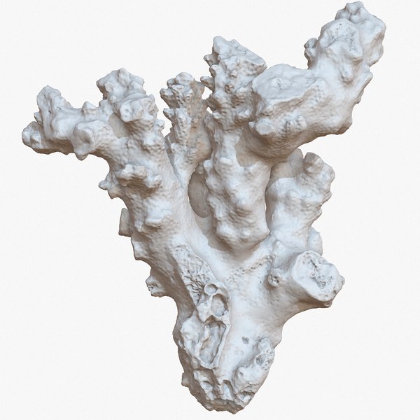 3D coral 14 raw scan model - TurboSquid 1196404