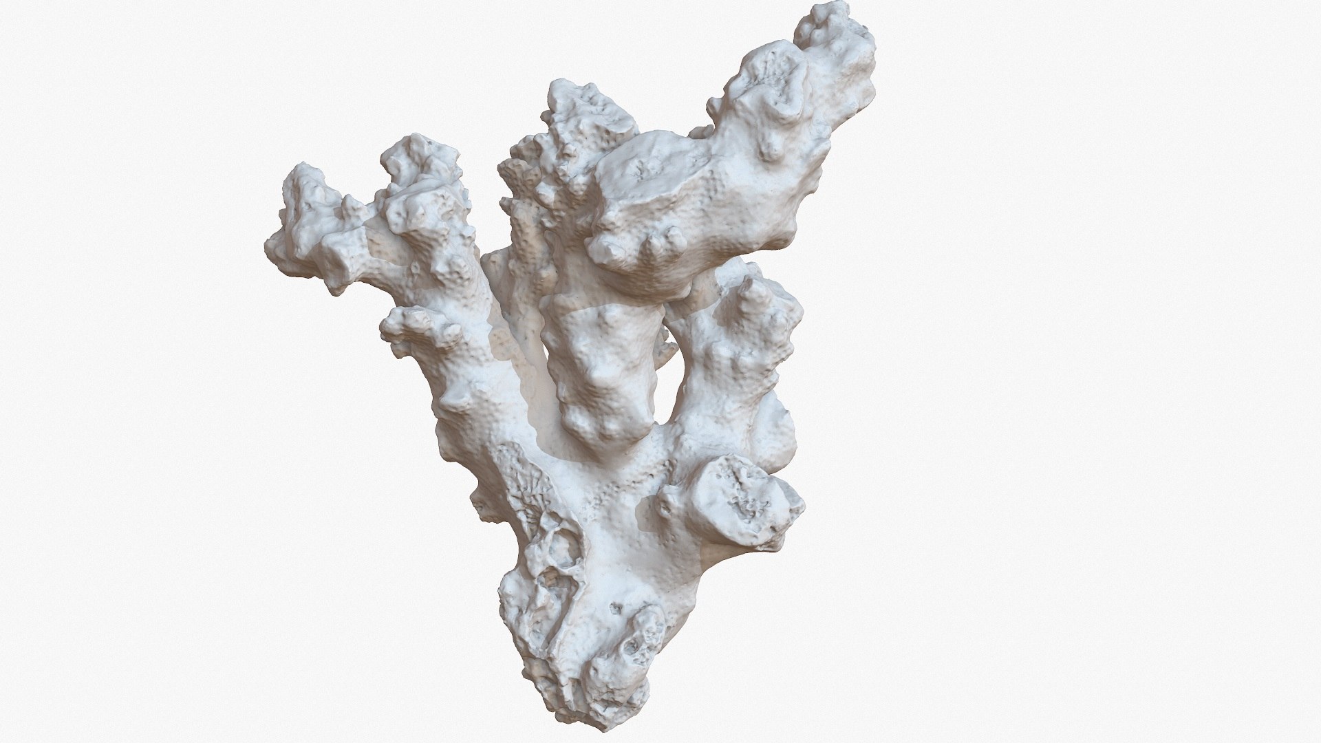 3D Coral 14 Raw Scan Model - TurboSquid 1196404