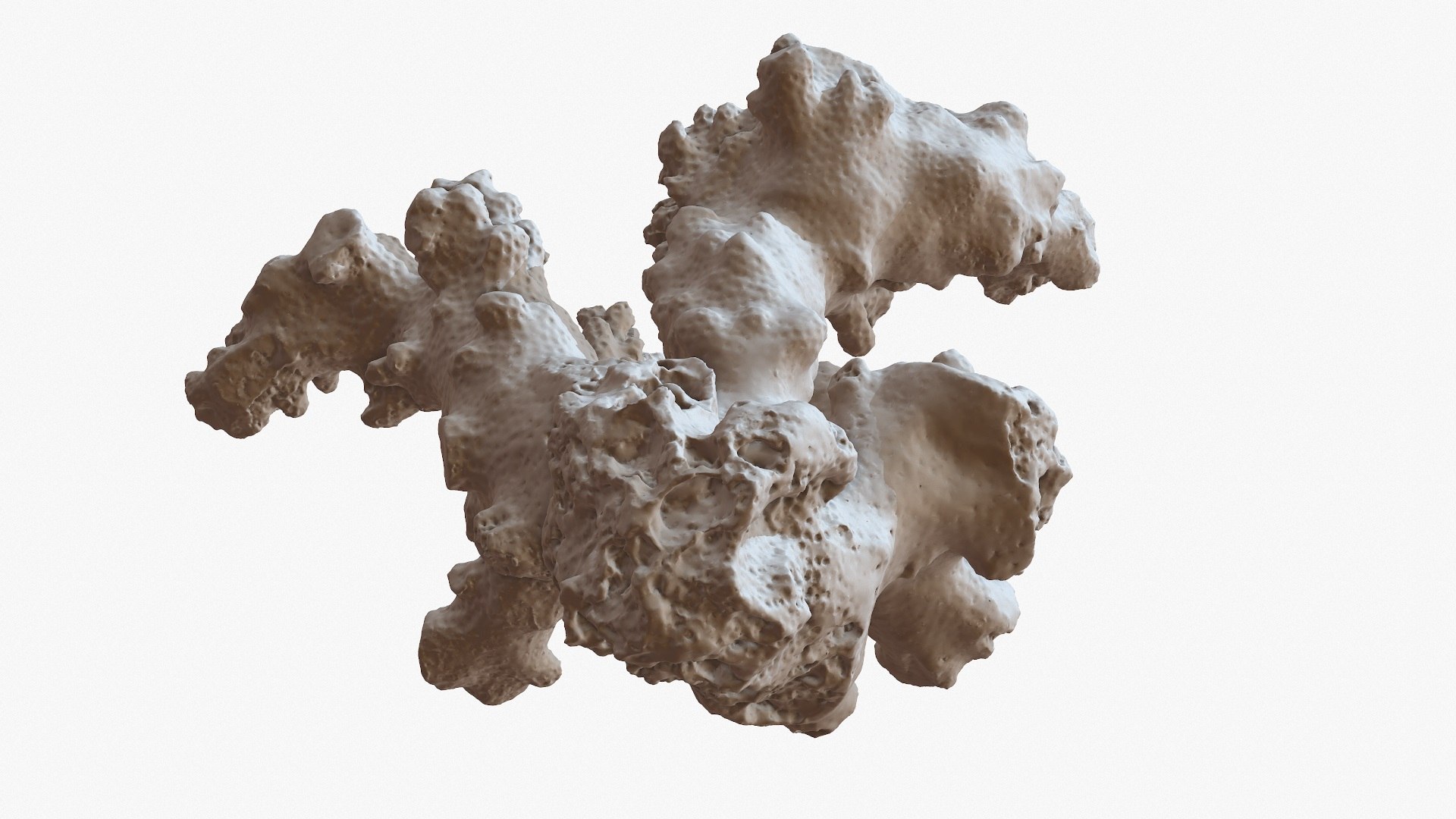 3D Coral 14 Raw Scan Model - TurboSquid 1196404