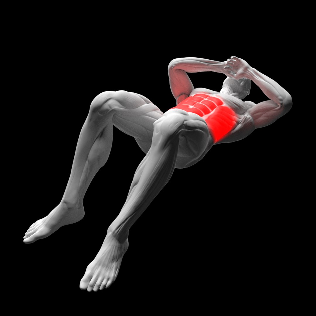 3D Crunches Model - TurboSquid 2229282