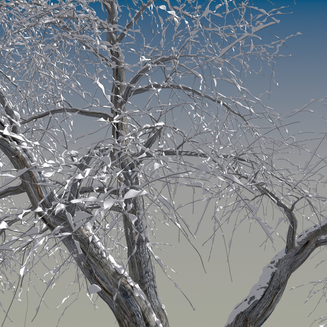 winter deciduous tree 3d model