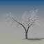 Winter Deciduous Tree 3d Model