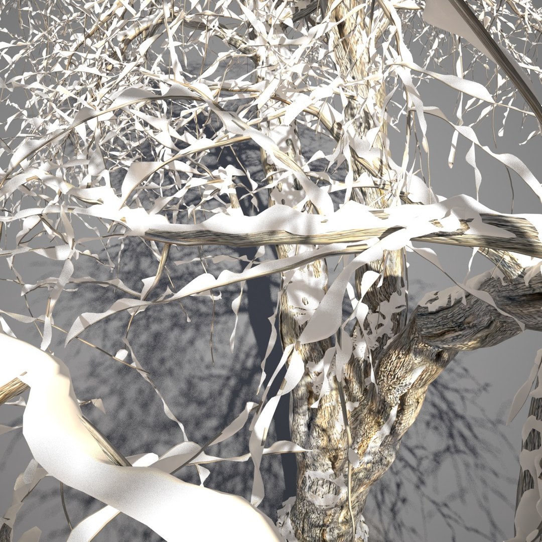 Winter Deciduous Tree 3d Model