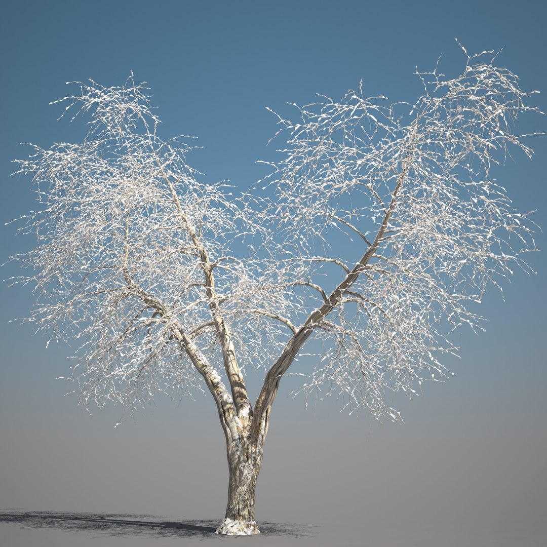 Winter Deciduous Tree 3d Model