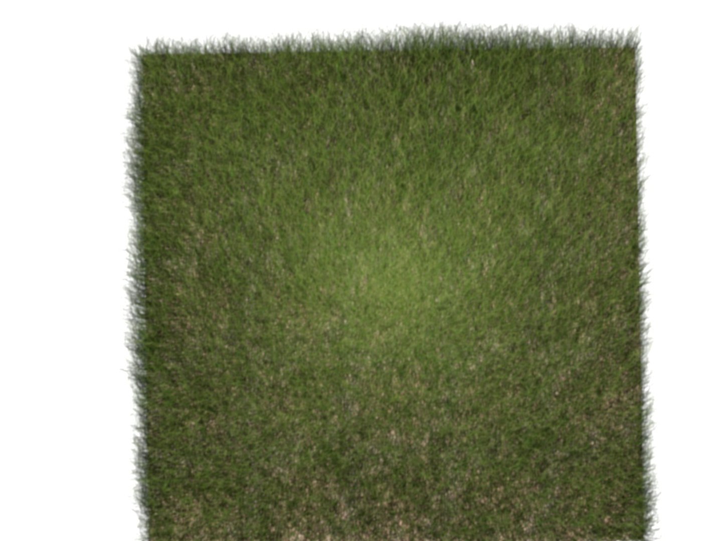 Dynamic Grass 3d C4d