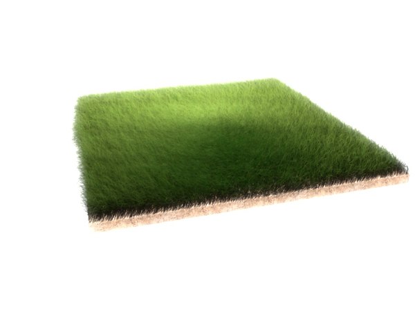 dynamic grass 3d c4d