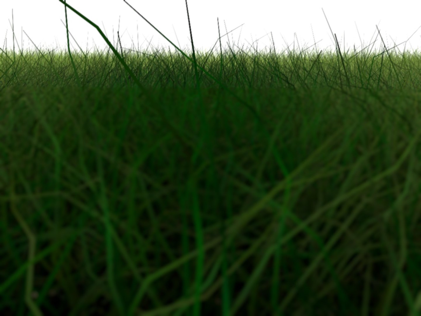Dynamic Grass 3d C4d