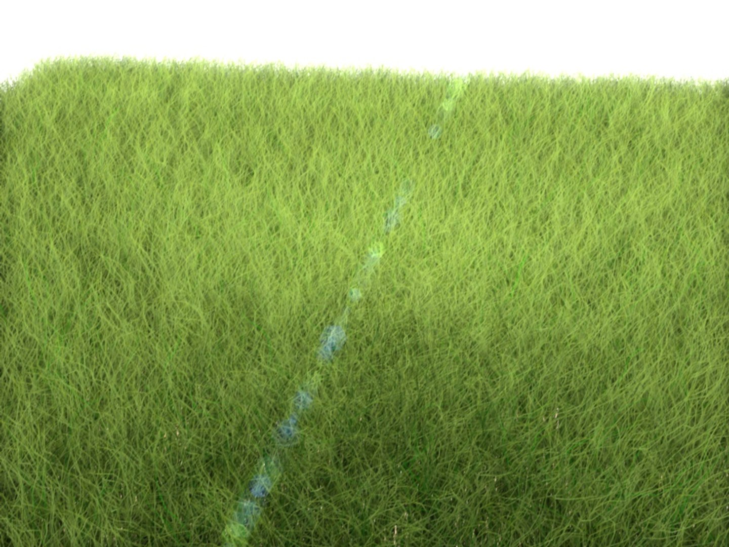 Dynamic Grass 3d C4d