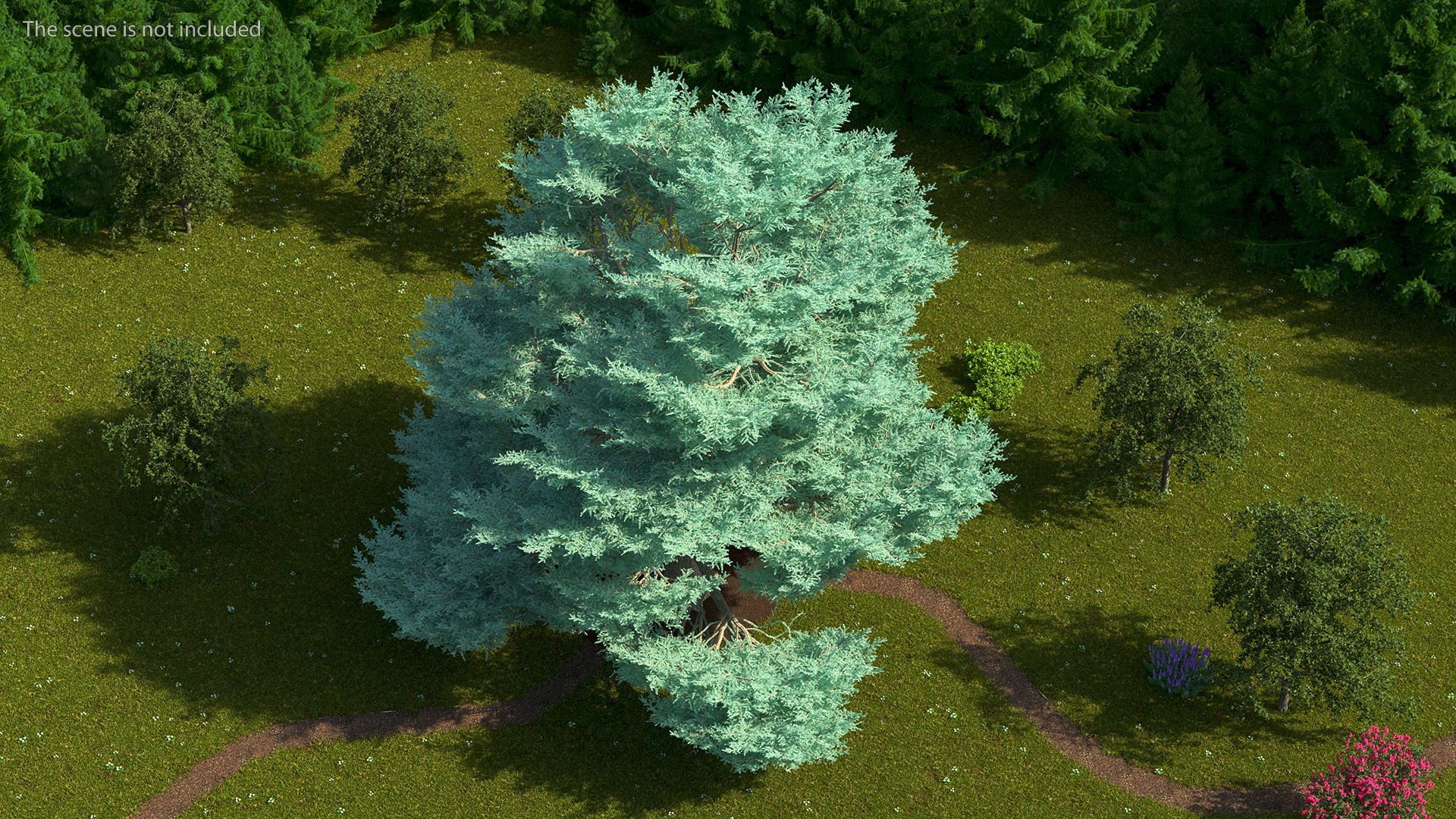 3D Cedrus Libani Big Blue Tree model - TurboSquid 1786815