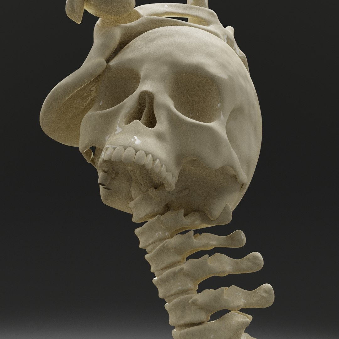Letter j bones skeleton 3D - TurboSquid 1546260