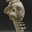 Letter j bones skeleton 3D - TurboSquid 1546260