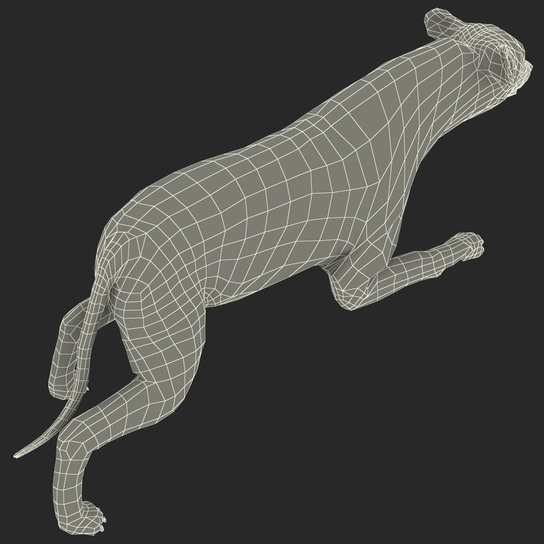 hyena pose 5 3d model