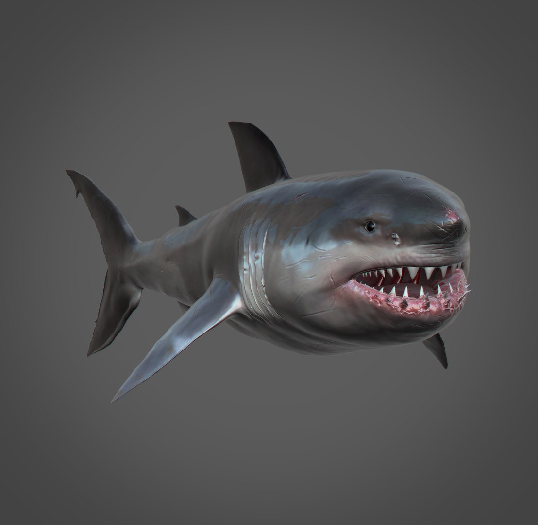 3D great white shark model - TurboSquid 1419633