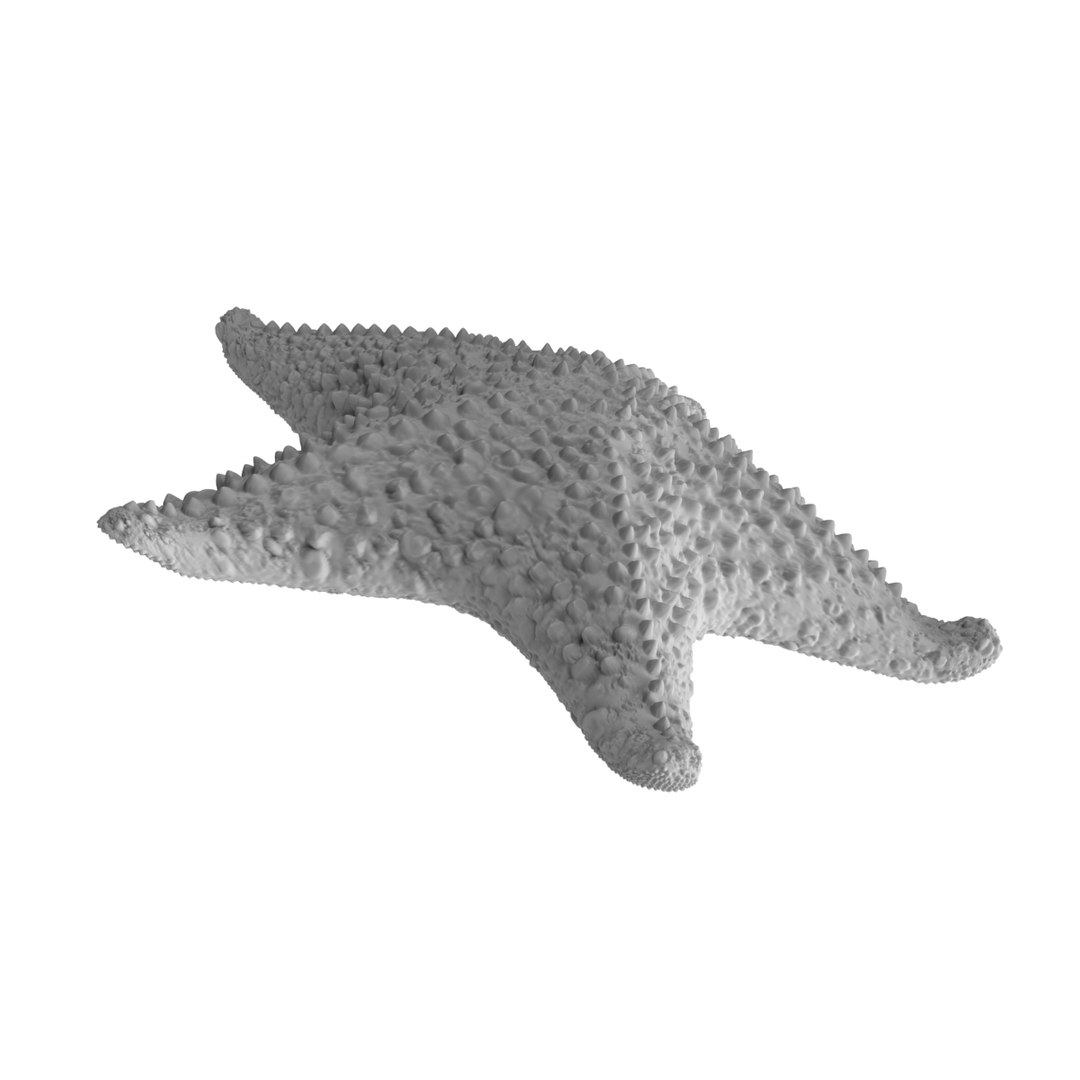 3D Starfish Stl Model | 1144588 | TurboSquid