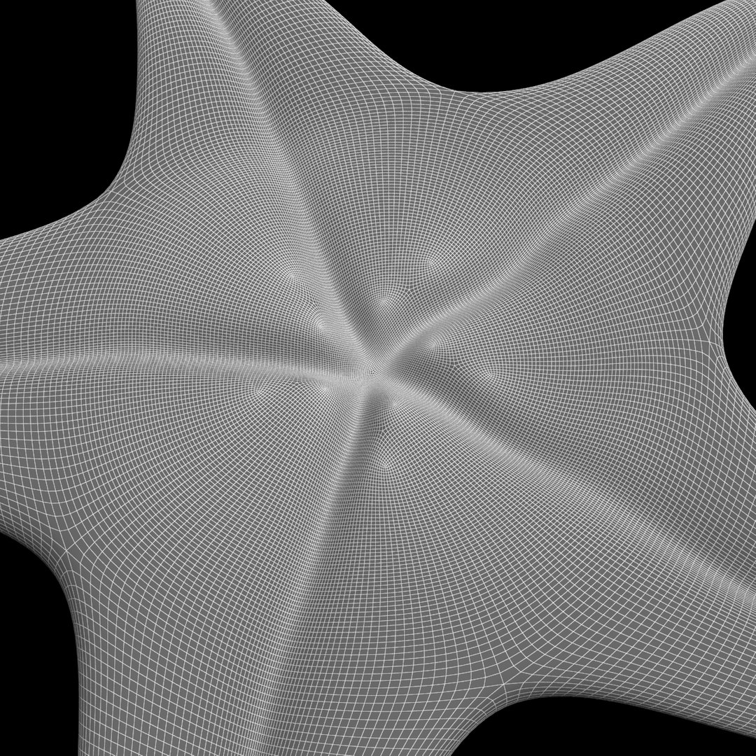 3D Starfish Stl Model | 1144588 | TurboSquid