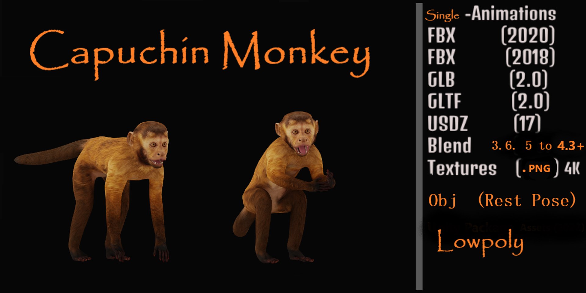 3D Capuchin Monkey - TurboSquid 2373907