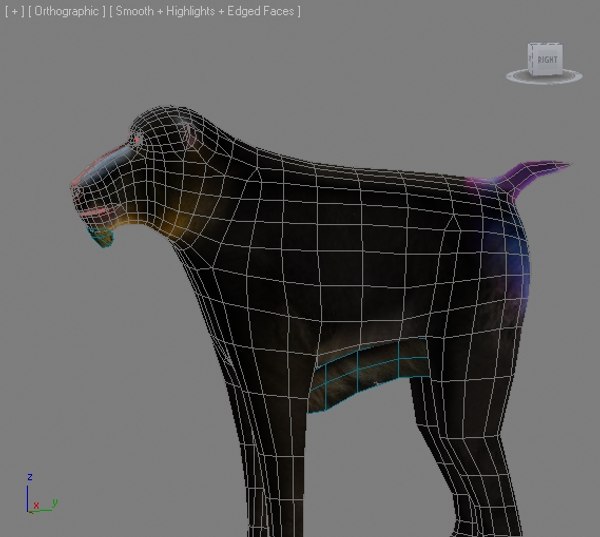 3D Baboon Models | TurboSquid