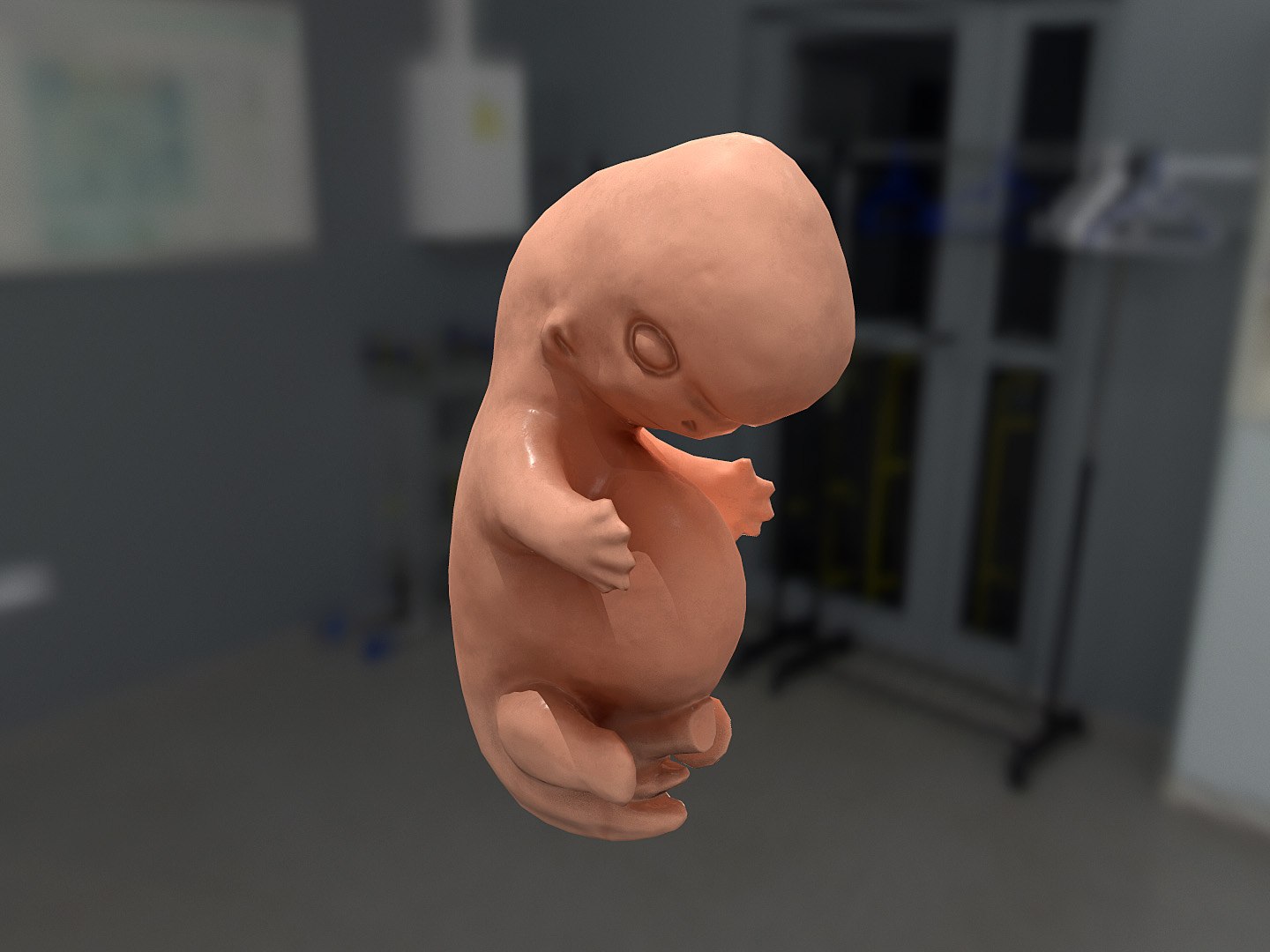 Human Fetus Clay 3D - TurboSquid 1535011