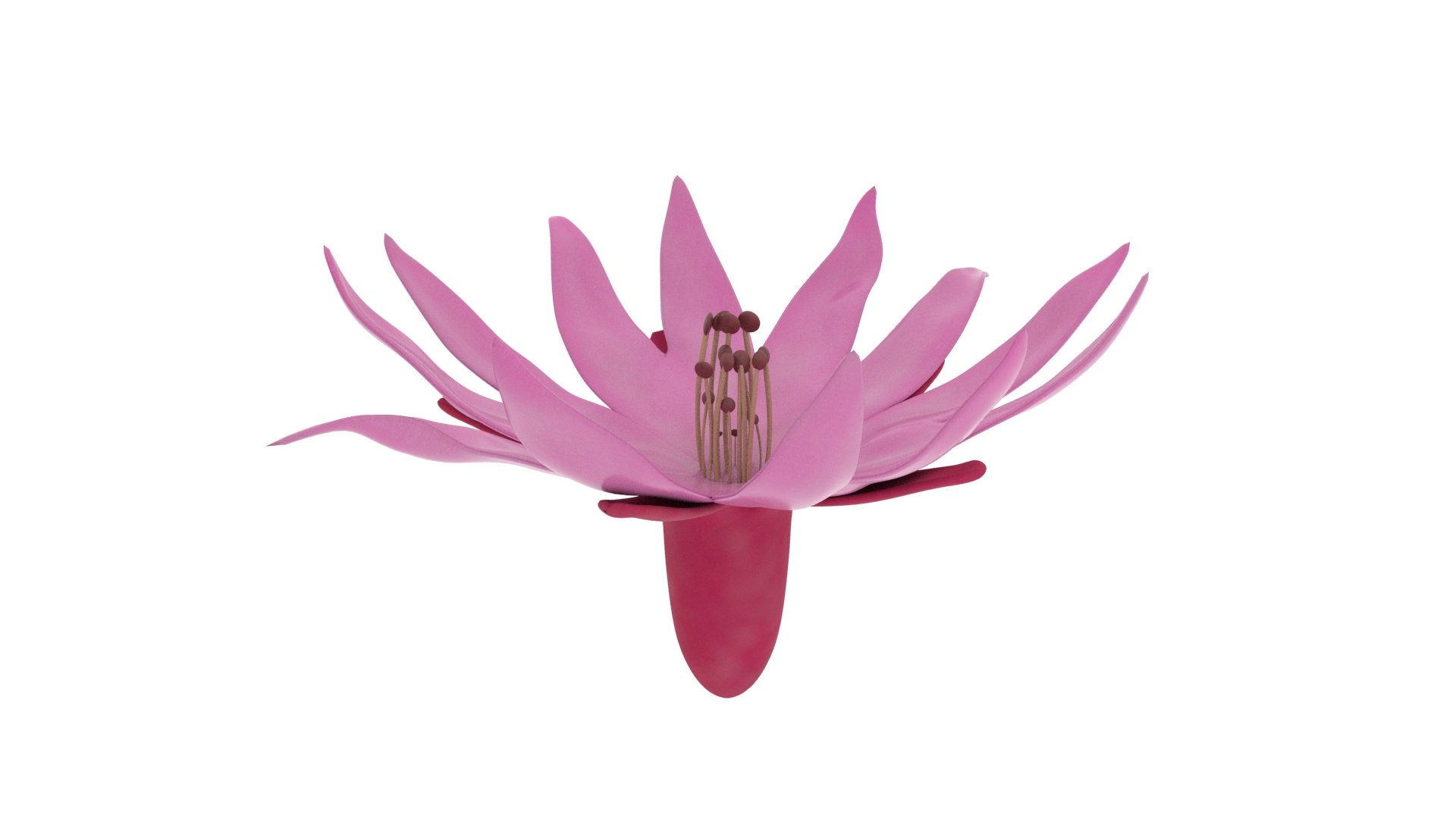 Flower abstract sakura model - TurboSquid 1706505