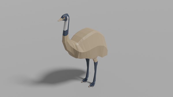 Emu 3D Models for Download | TurboSquid