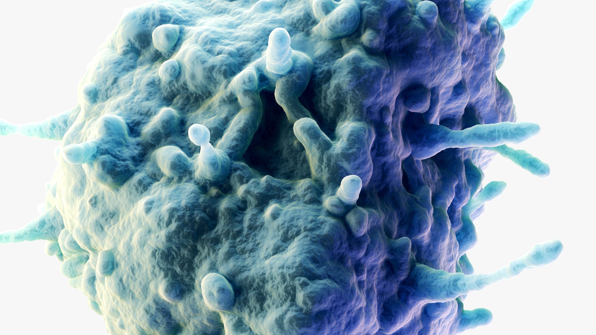 Stem Cell model - TurboSquid 2054002