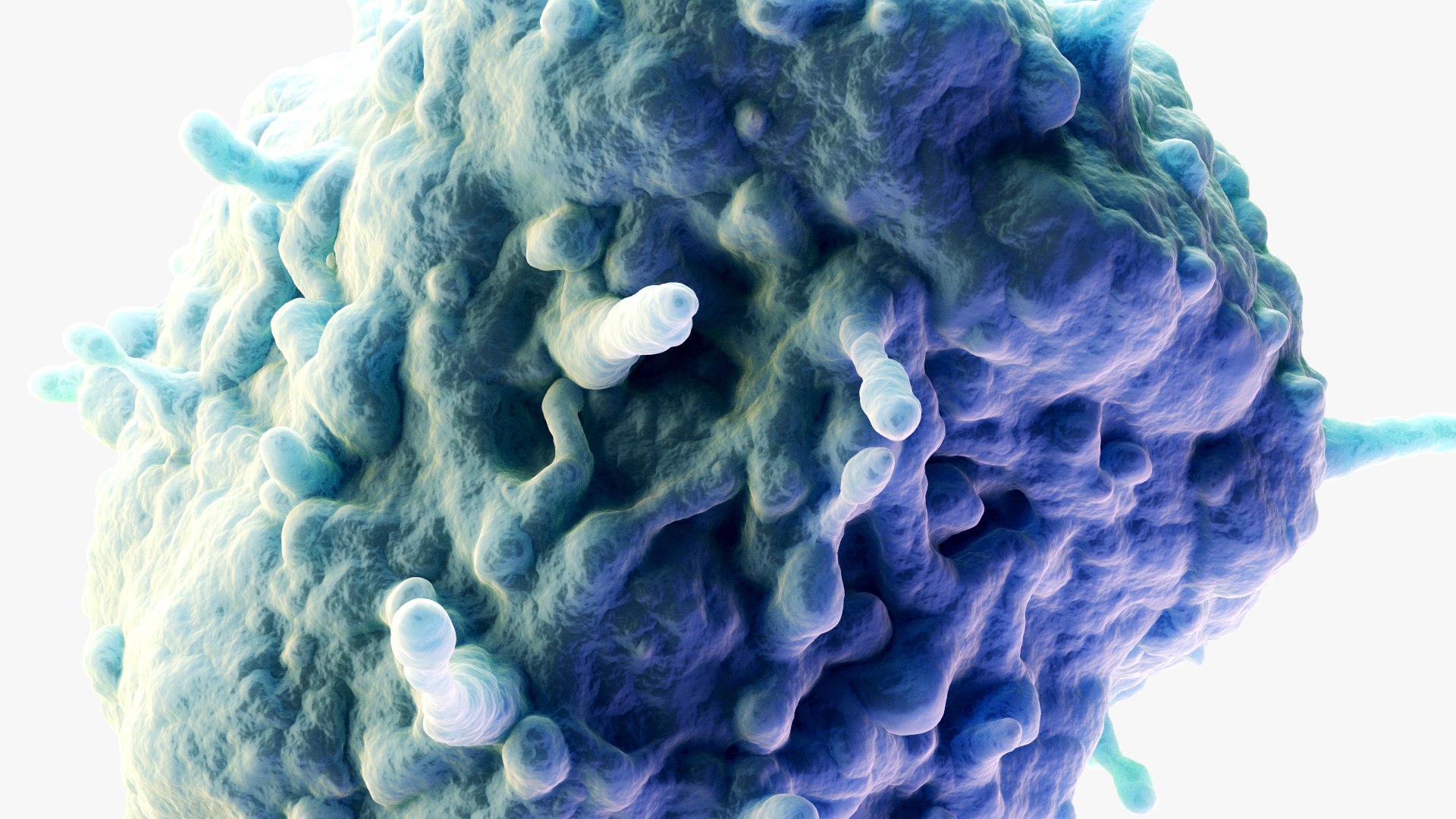 Stem Cell model - TurboSquid 2054002