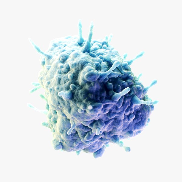 Cancer Cell 3D Models for Download | TurboSquid